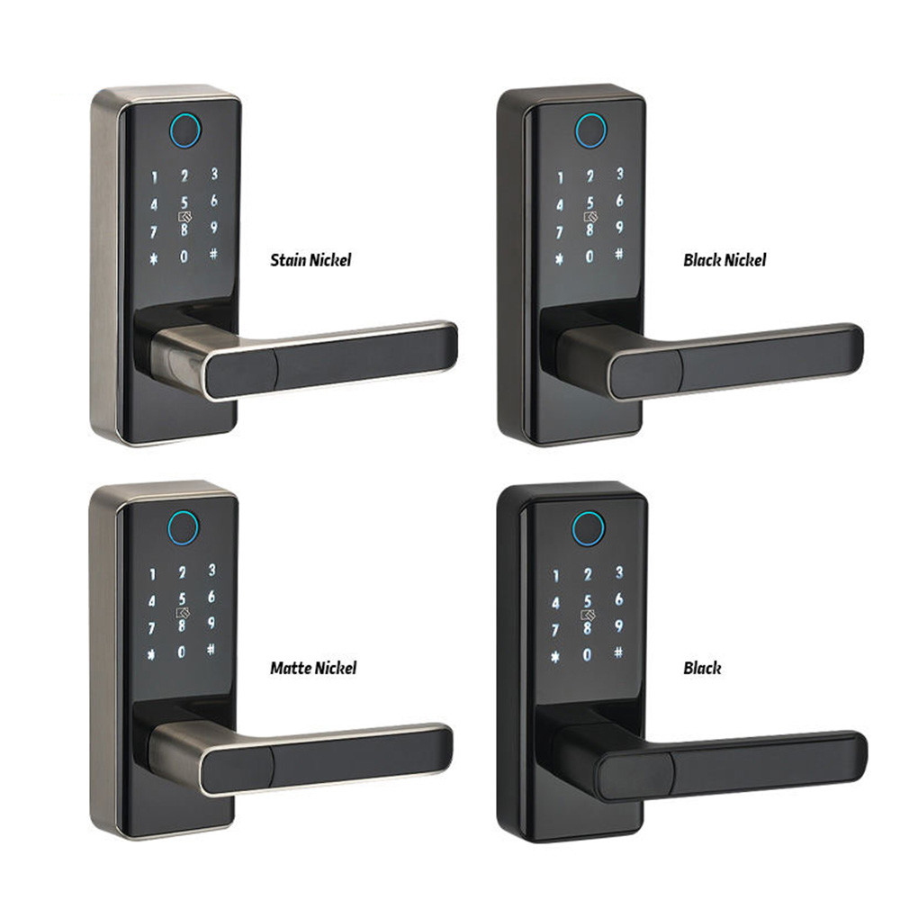 Biometric Fingerprint Remote unlocking digits door lock and smart ...