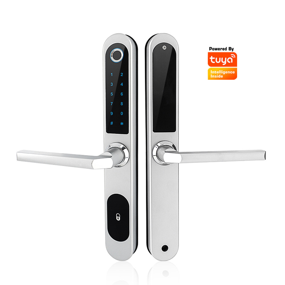 Dustproof Digital Smart Door Lock with TT lock and Slim Waterproof ...